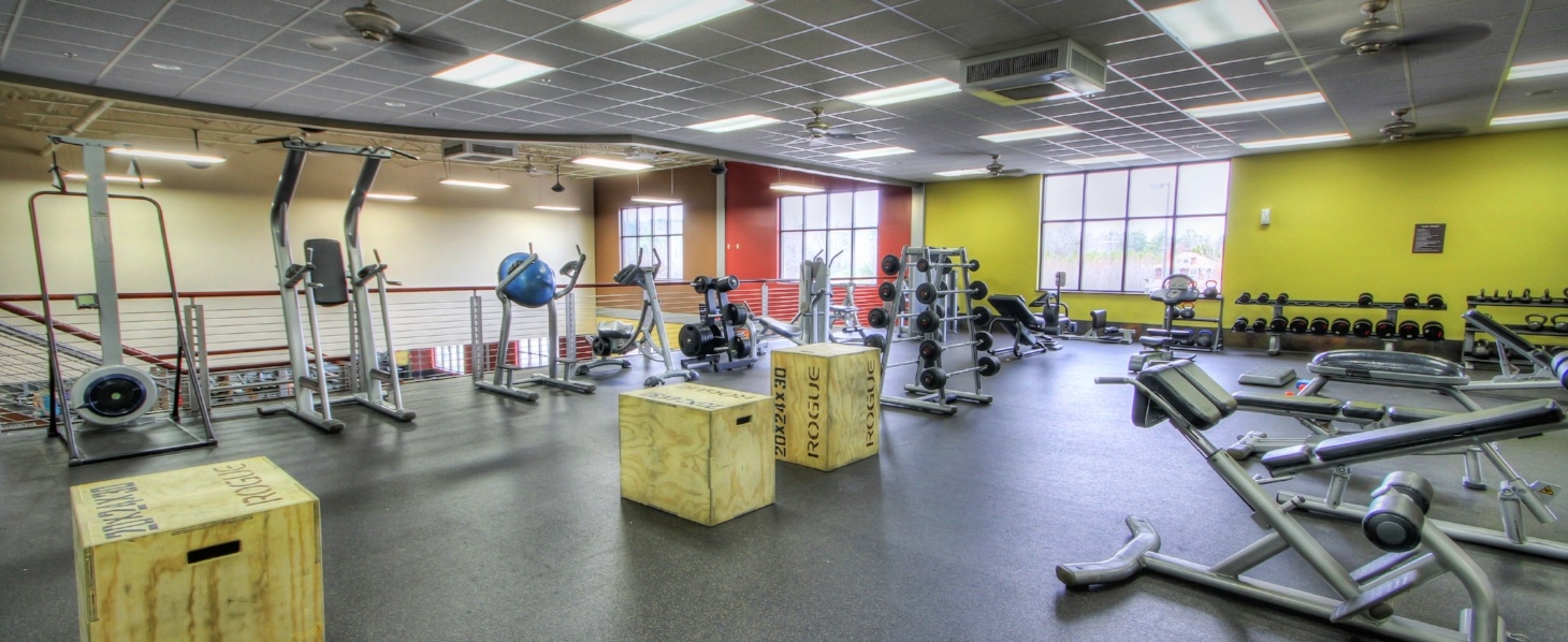 Onelife Fitness Chesapeake Square / Suffolk Gym and Health Club