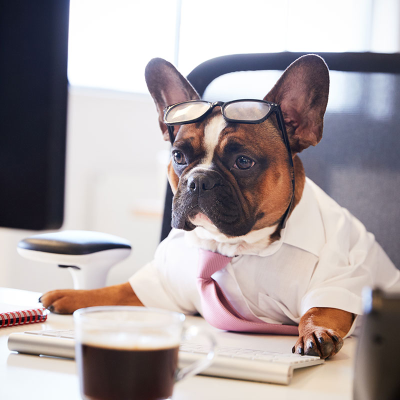 Swap out the Sweats for Swagger!